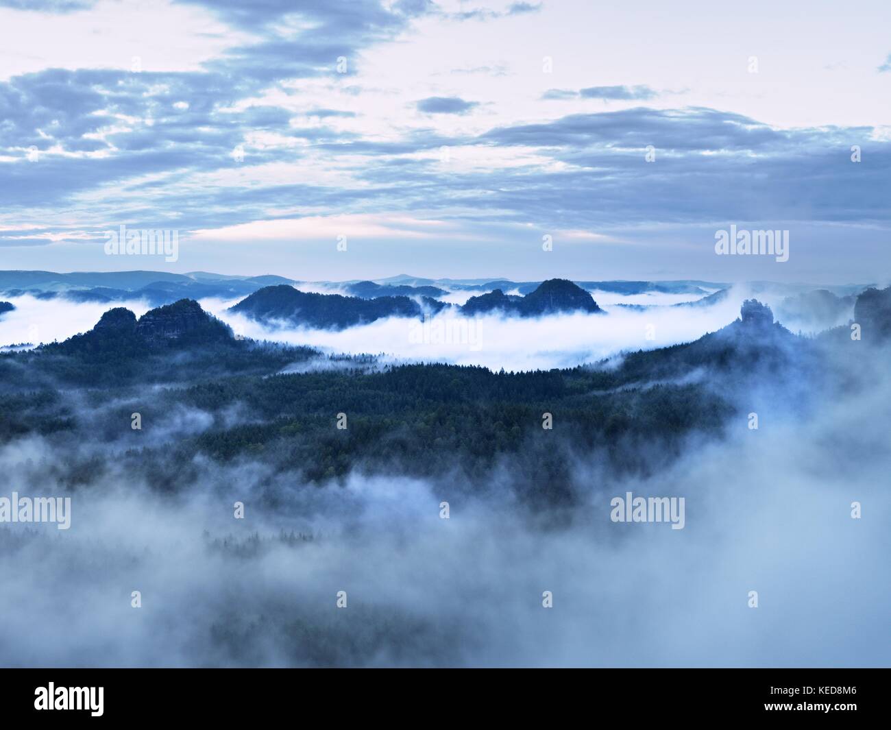 Blue mist in mountains. Summer forest after heavy rainy night. Treetops ...