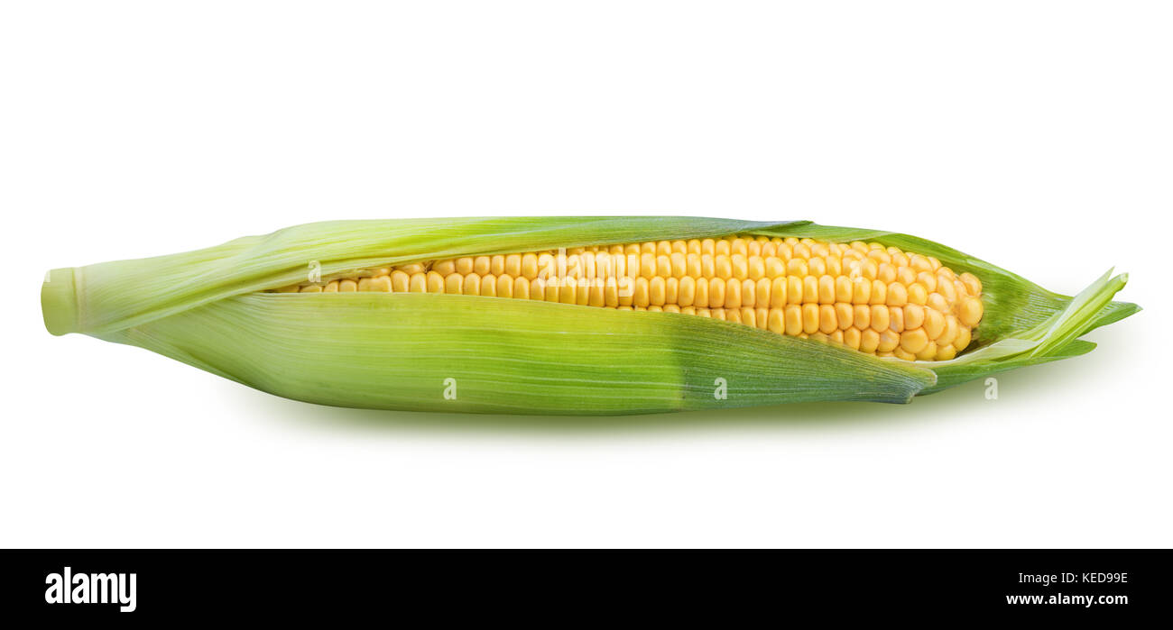 Corn isolated on white background with clipping path Stock Photo - Alamy