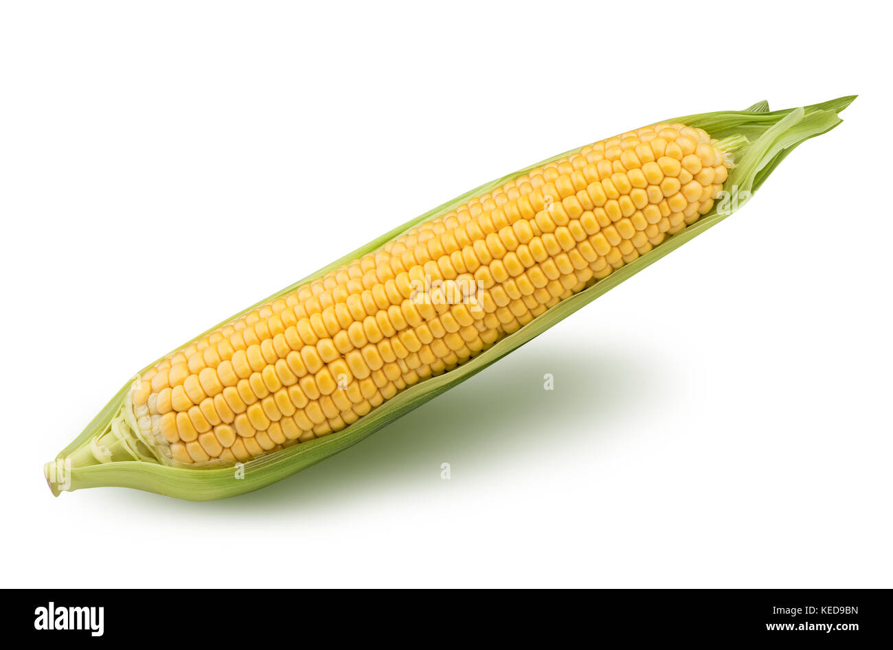 Corn isolated on white background with clipping path Stock Photo - Alamy