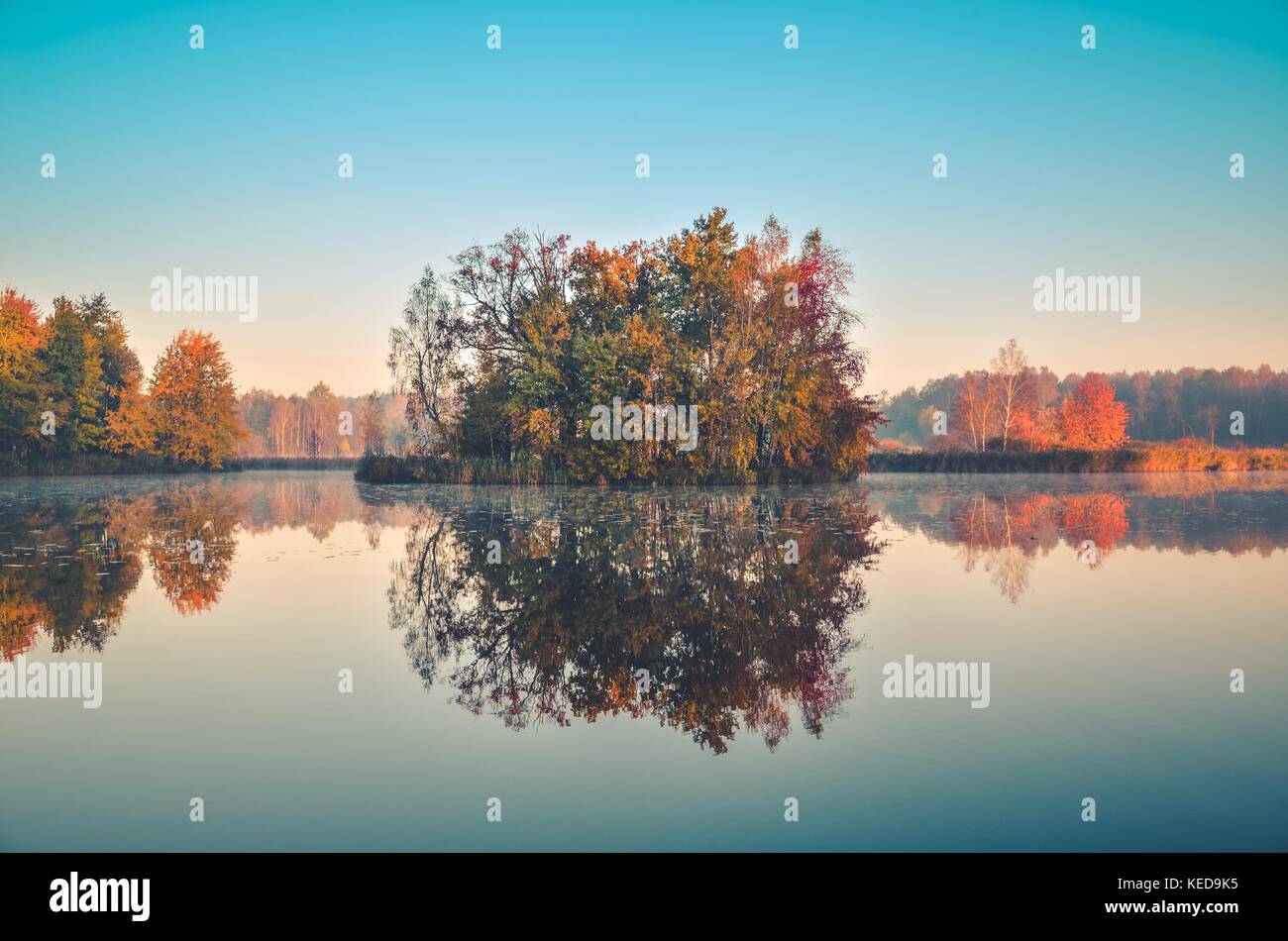 Beautiful autumn landscape. Small island with trees on the lake Stock ...