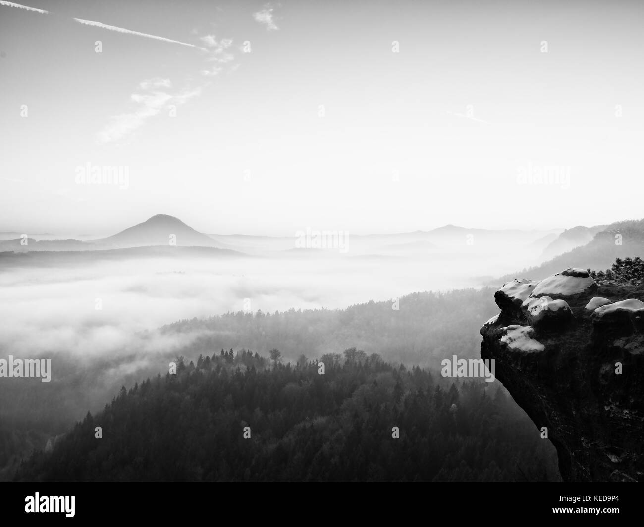 Fall morning mist. The sandstone cliff above treetops of forest valley ...
