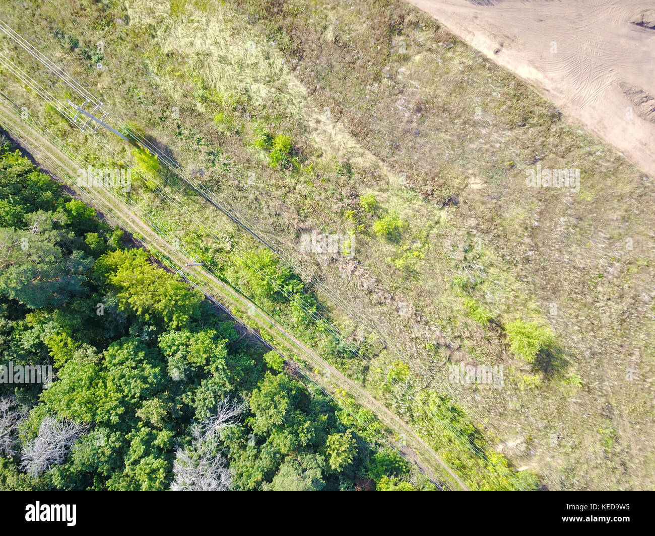 Forest and field with a trail aerial photography Stock Photo - Alamy