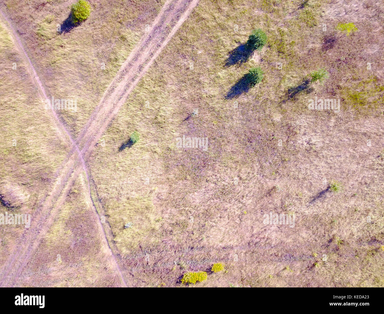 Forest and field with a trail aerial photography Stock Photo - Alamy