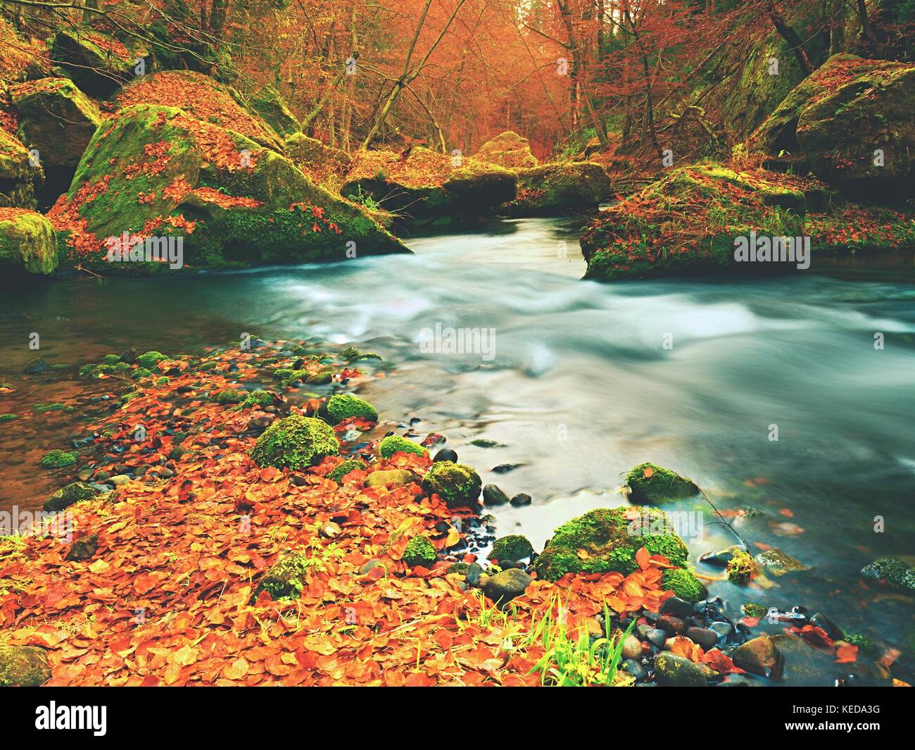 Fall in nature. Colors of autumn mountain river. Colorful gravel with ...