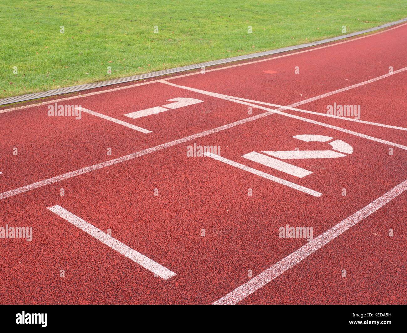 Running Race Track Texture