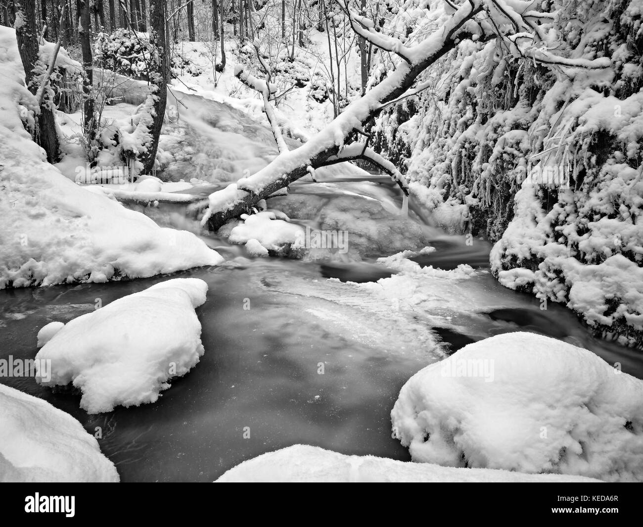 Frozen cascade of waterfall, icy twigs and icy boulders in frozen foam ...