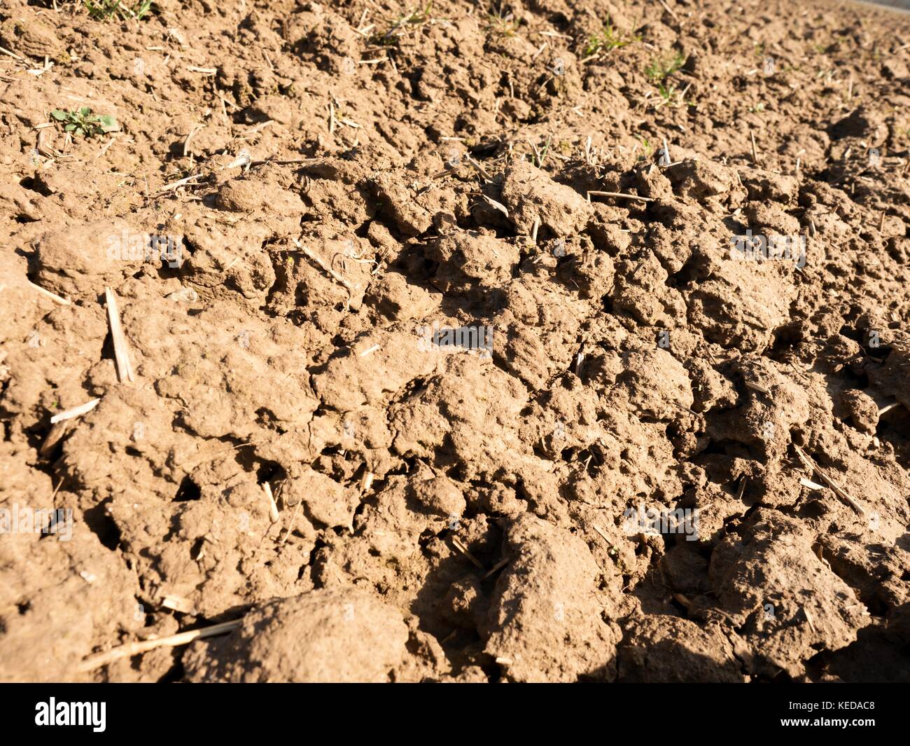 Dry dusty clay on the field. Empty plowed field waits for sowing. Dust ...