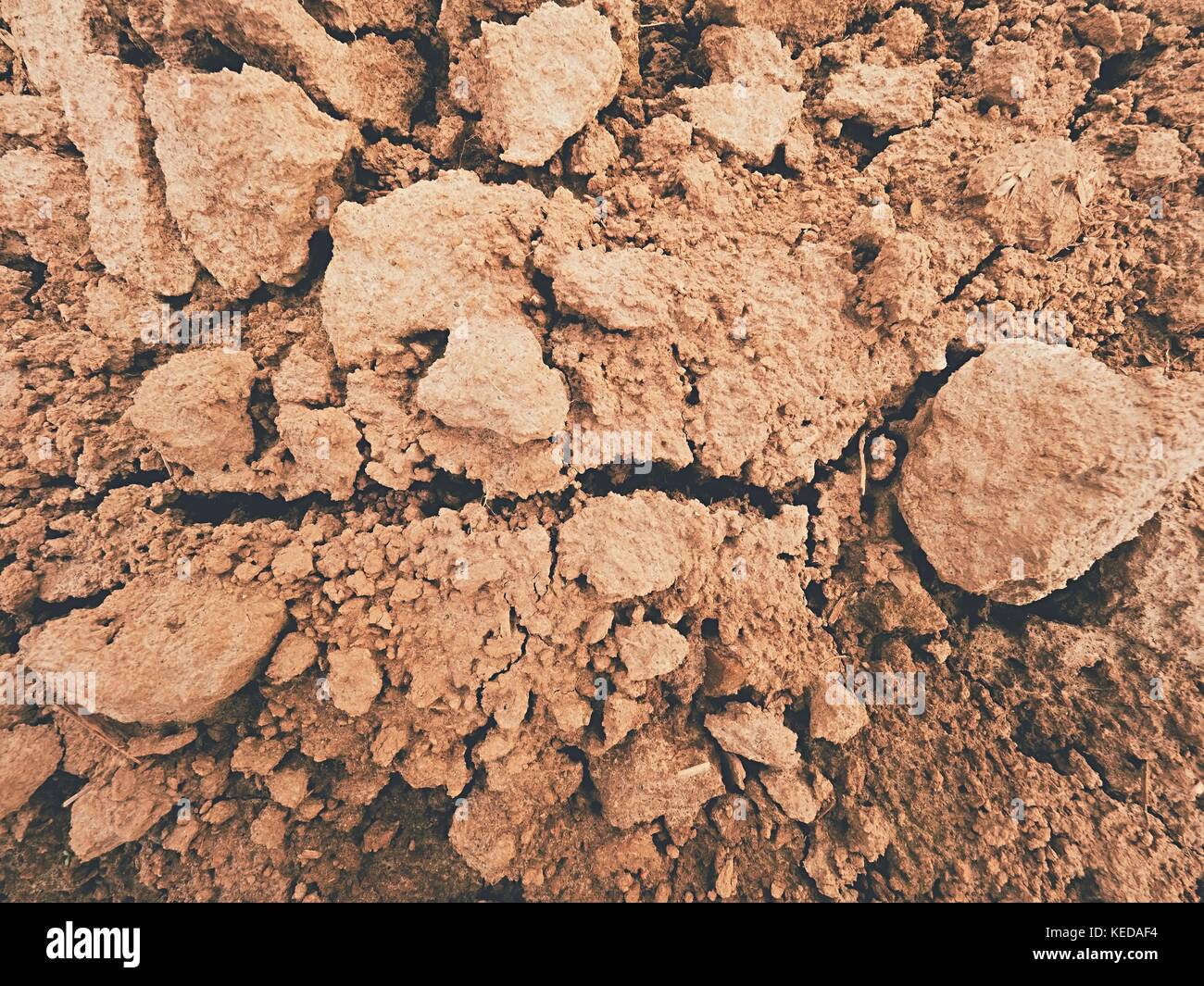 Dry dusty clay on the field. Empty plowed field waits for sowing. Dust ...