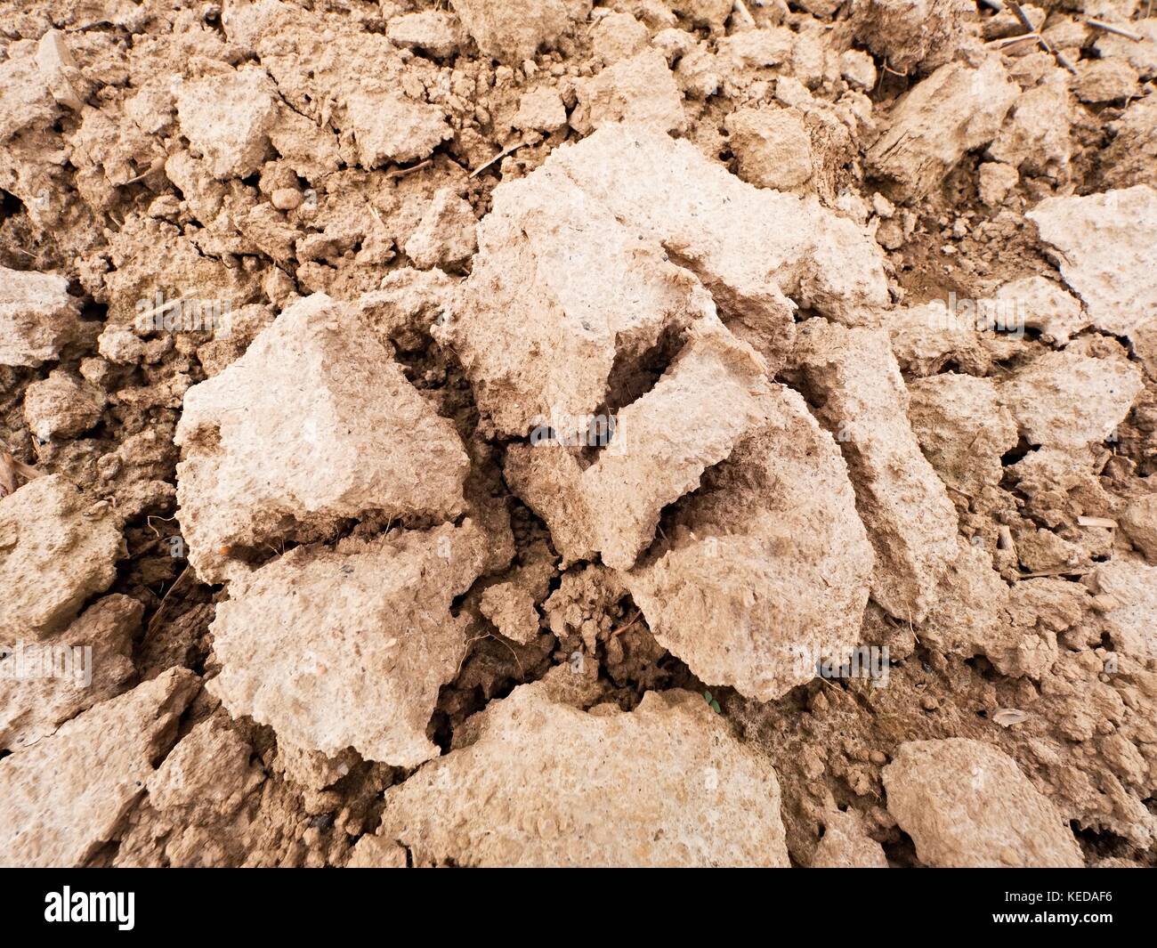Dry dusty clay on the field. Empty plowed field waits for sowing. Dust ...