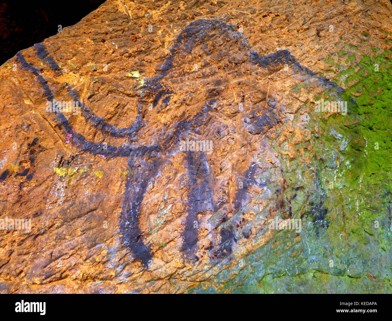 Mammoth cave painting hi-res stock photography and images - Alamy