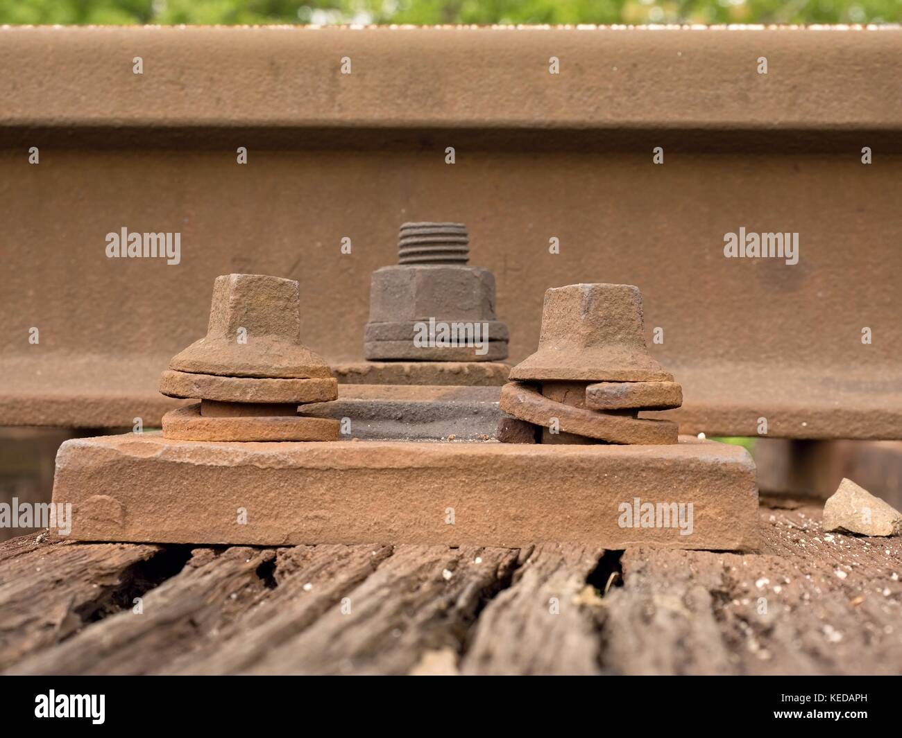 Detail of rusty screws and nut on old railroad track. Rotten wooden tie ...