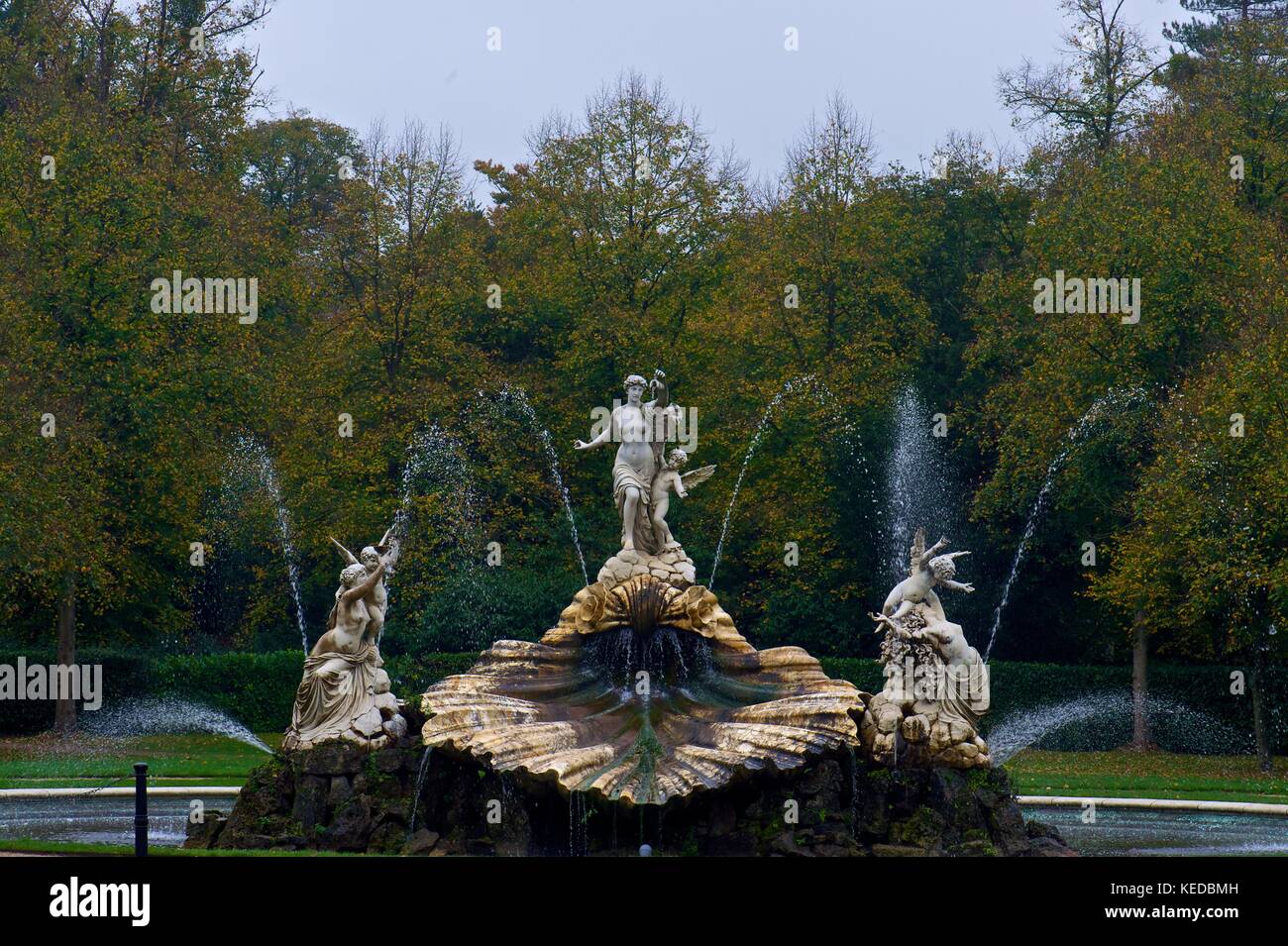 Chiltern Estate, National Trust Stock Photo - Alamy