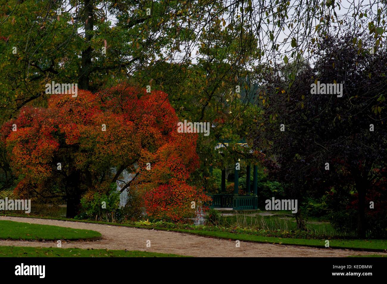 Chiltern Estate, National Trust Stock Photo - Alamy