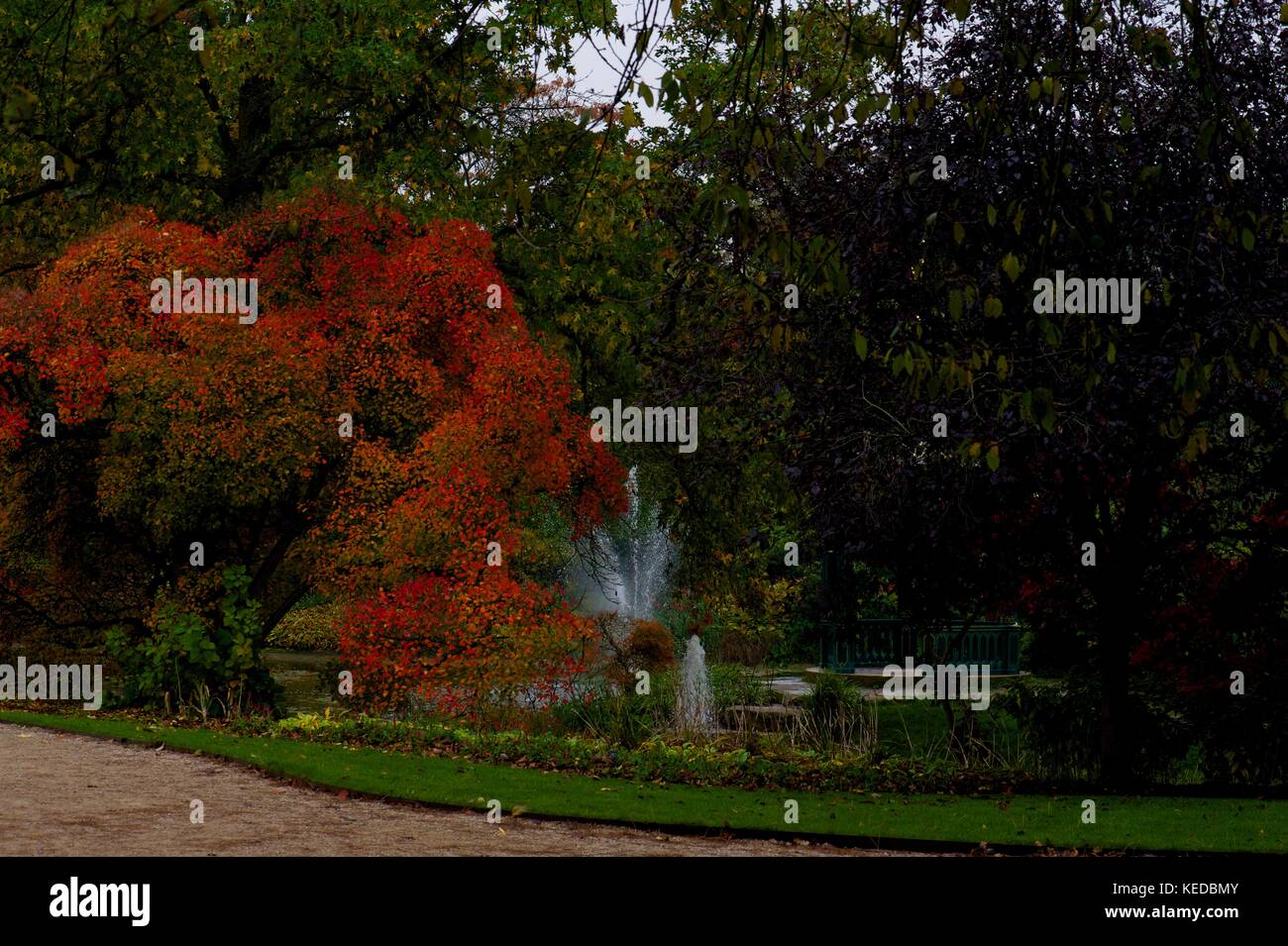 Chiltern Estate, National Trust Stock Photo - Alamy