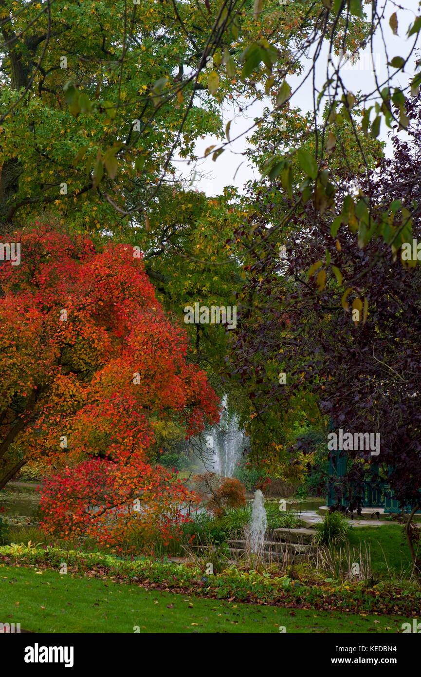 Chiltern Estate, National Trust Stock Photo - Alamy