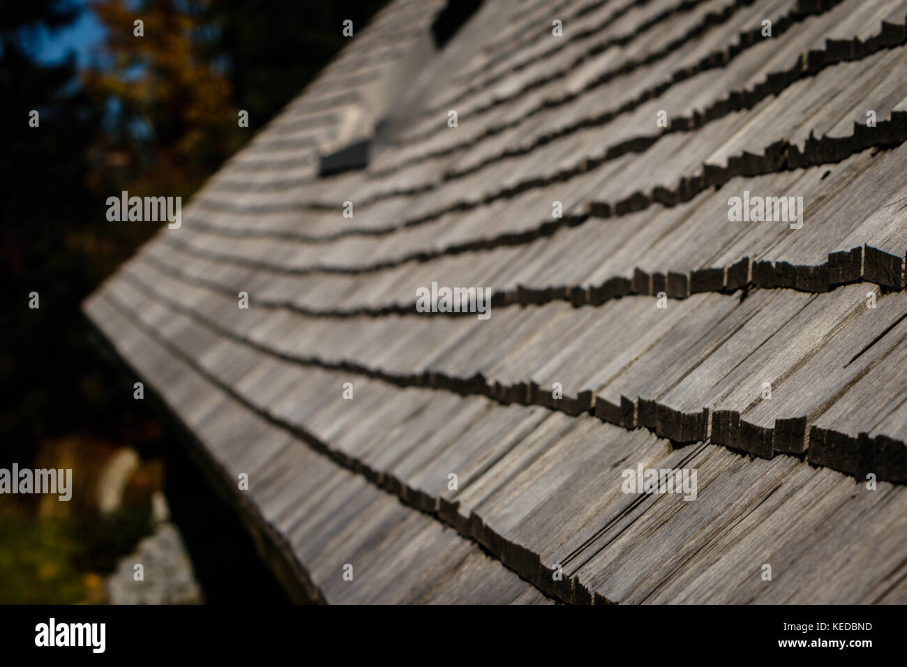 A black forest farm roof of wooden shingles, picture taken from the ...