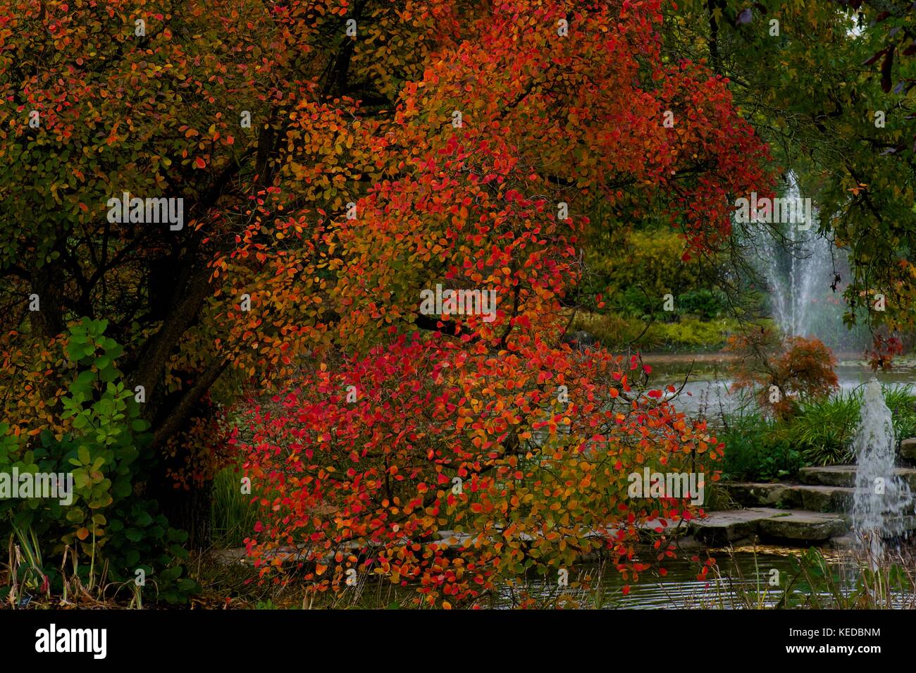 Chiltern Estate, National Trust Stock Photo - Alamy