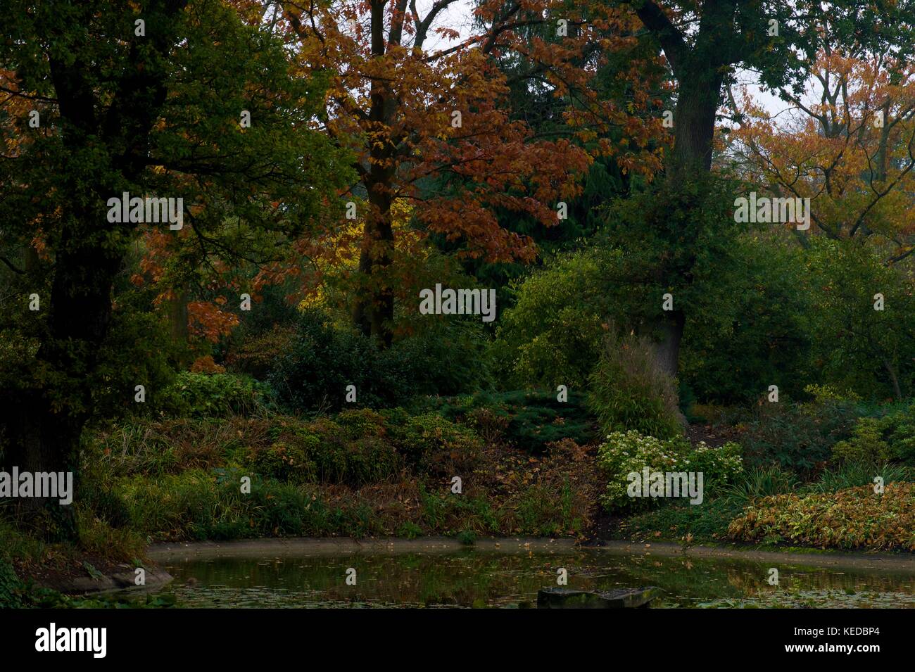 Chiltern Estate, National Trust Stock Photo - Alamy