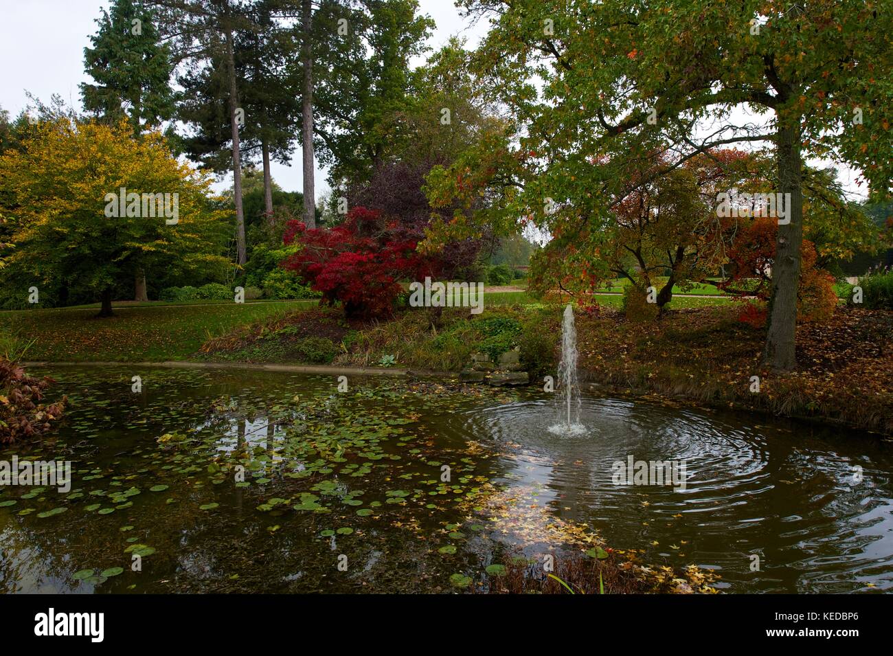 Chiltern Estate, National Trust Stock Photo - Alamy