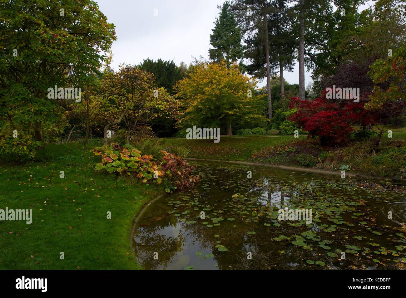Chiltern Estate, National Trust Stock Photo - Alamy