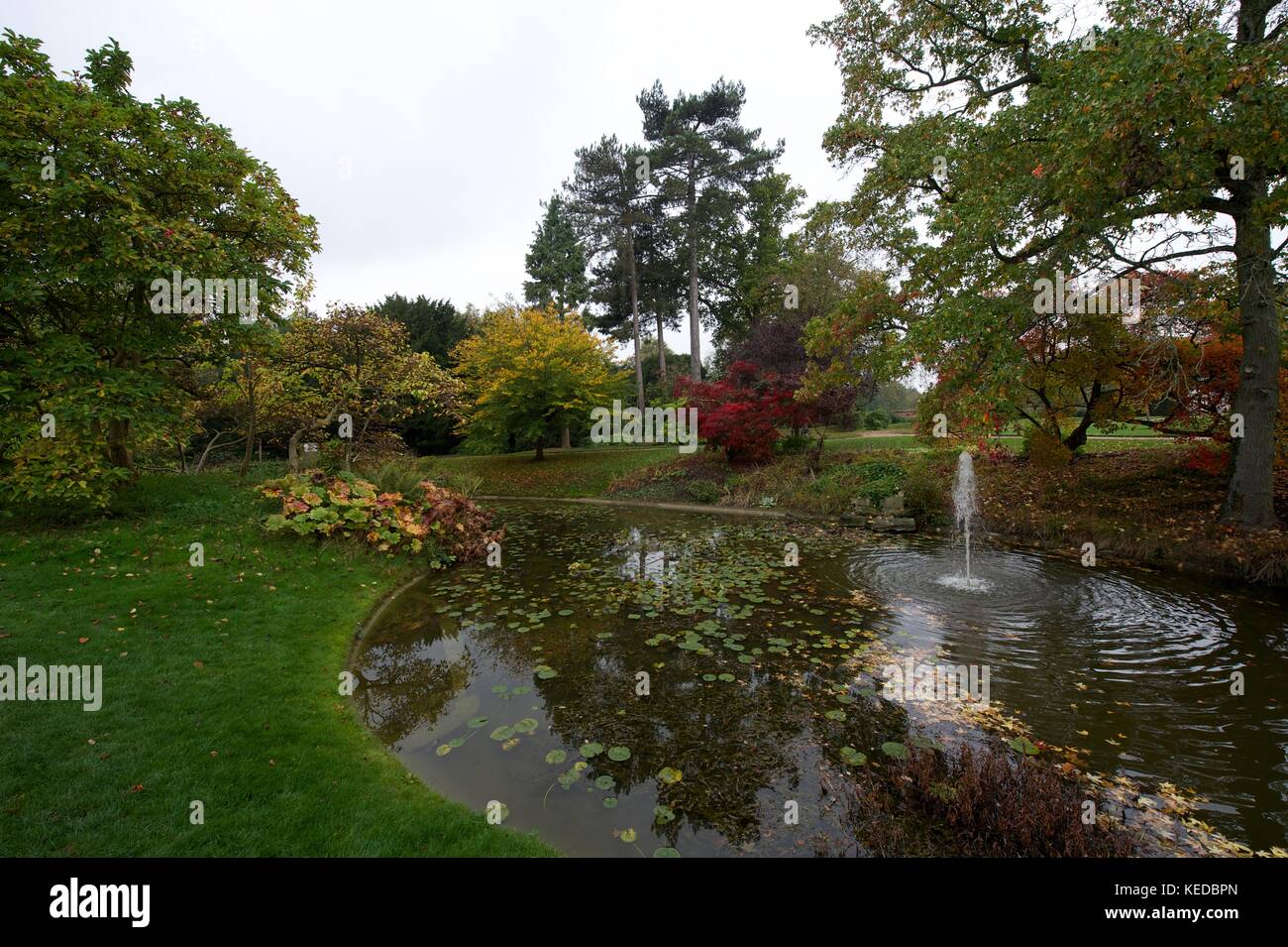 Chiltern Estate, National Trust Stock Photo - Alamy