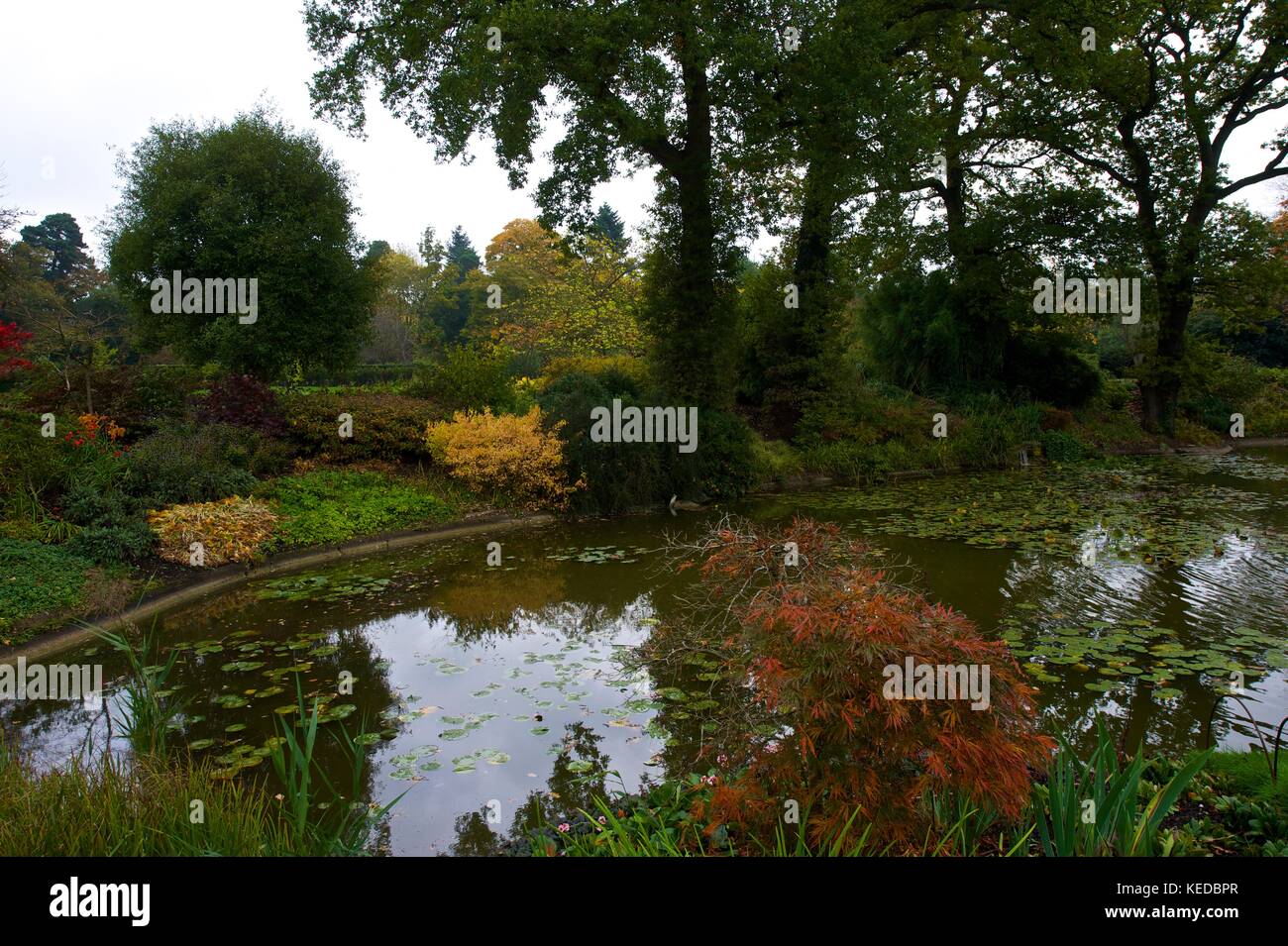 Chiltern Estate, National Trust Stock Photo - Alamy