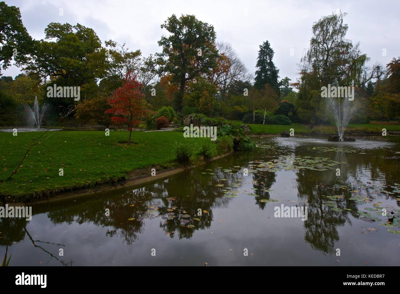 Chiltern Estate, National Trust Stock Photo - Alamy