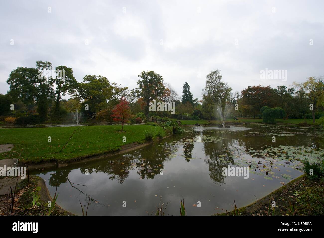 Chiltern Estate, National Trust Stock Photo - Alamy