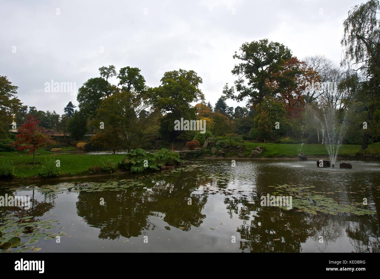 Chiltern Estate, National Trust Stock Photo - Alamy