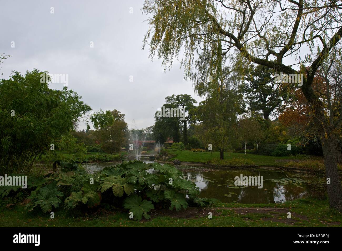 Chiltern Estate, National Trust Stock Photo - Alamy