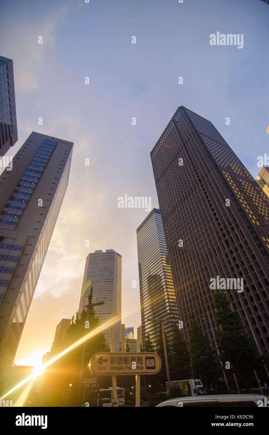 Tokyo Neon Lights Stock Photo - Alamy
