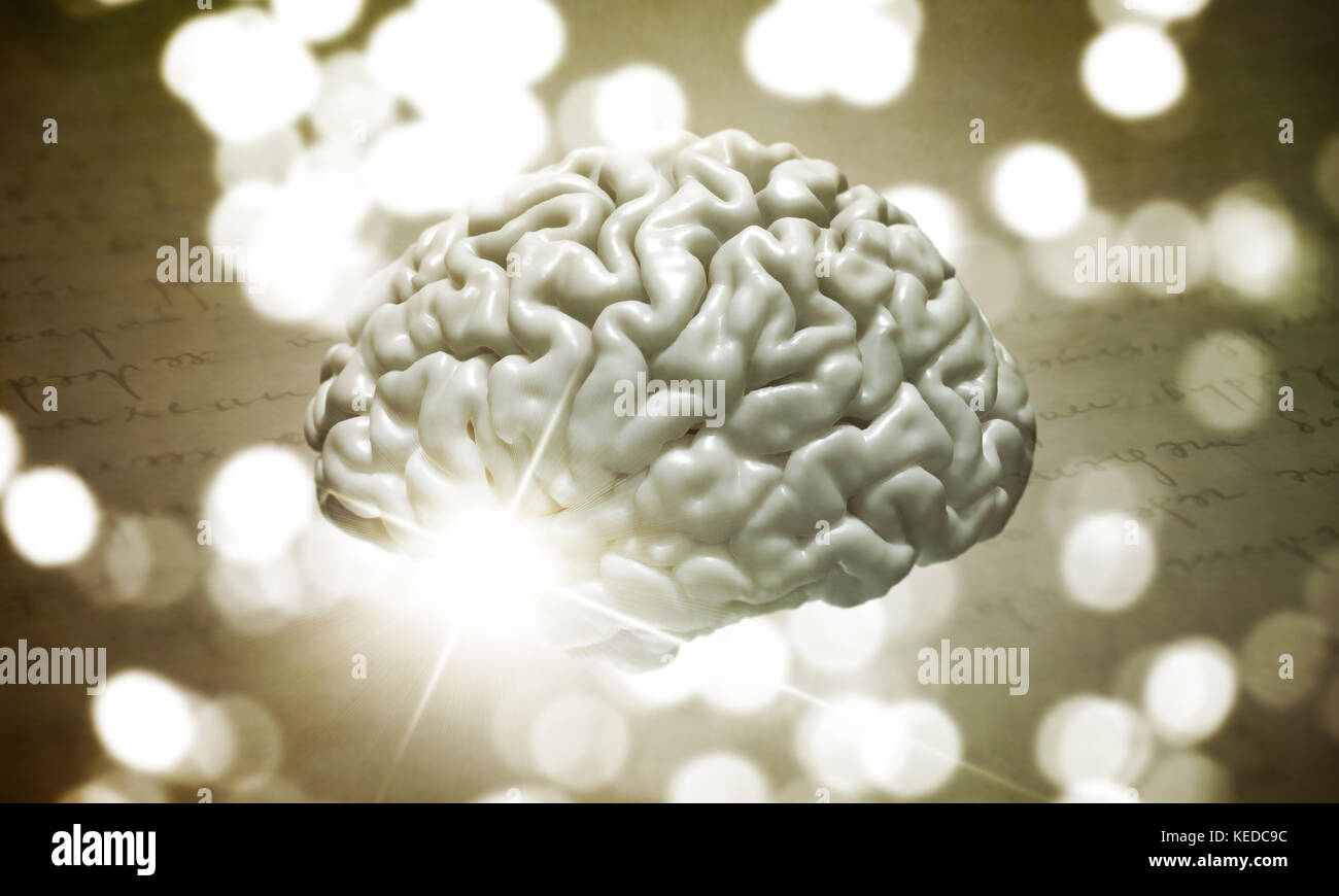 Encephalon hi-res stock photography and images - Alamy
