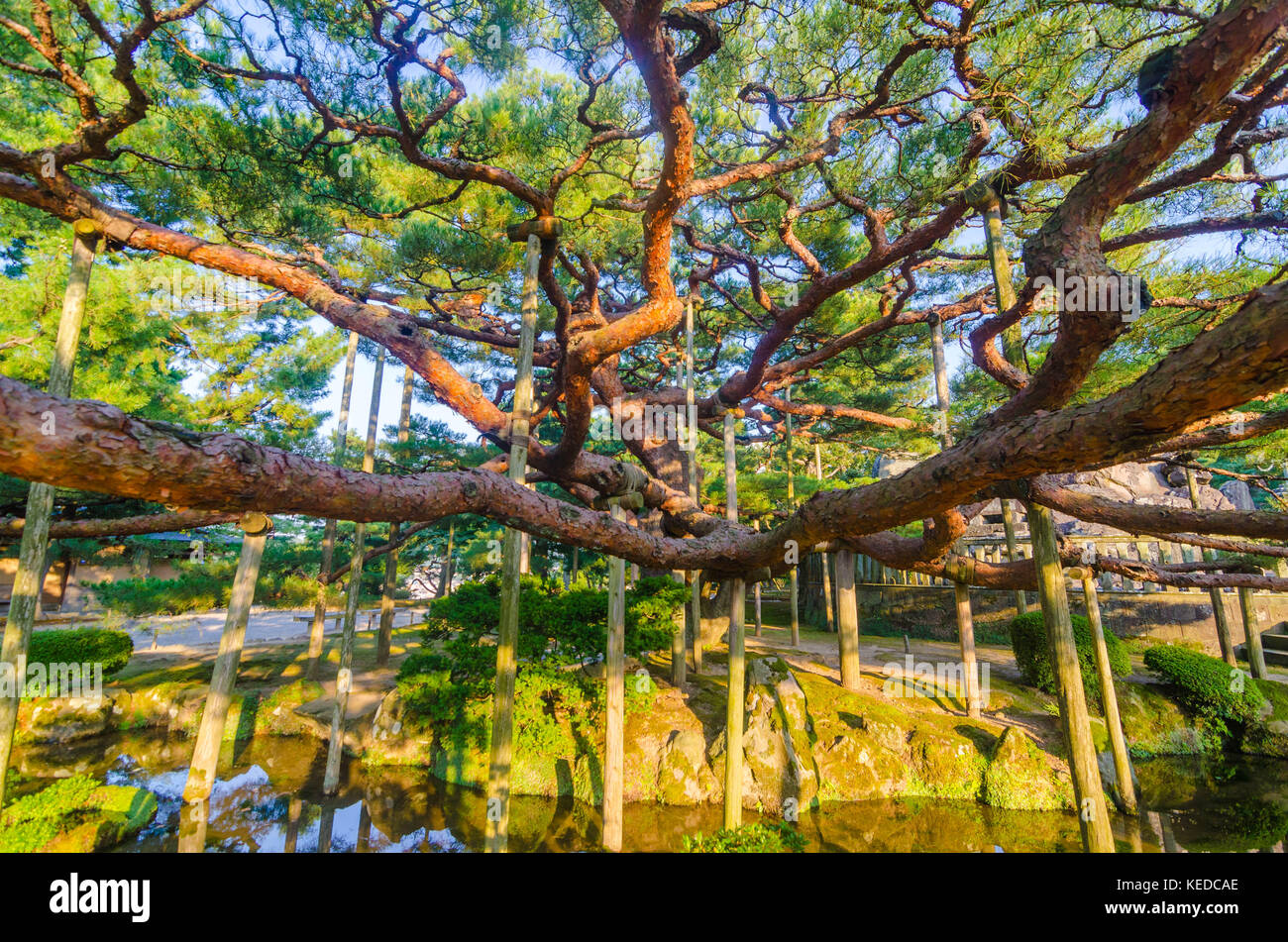 Kenroku-en Garden, Kanazawa Japan Stock Photo - Alamy