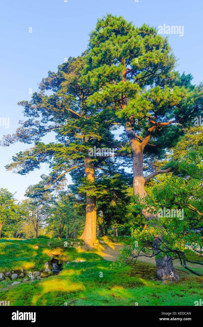 Kenroku-en Garden, Kanazawa Japan Stock Photo - Alamy