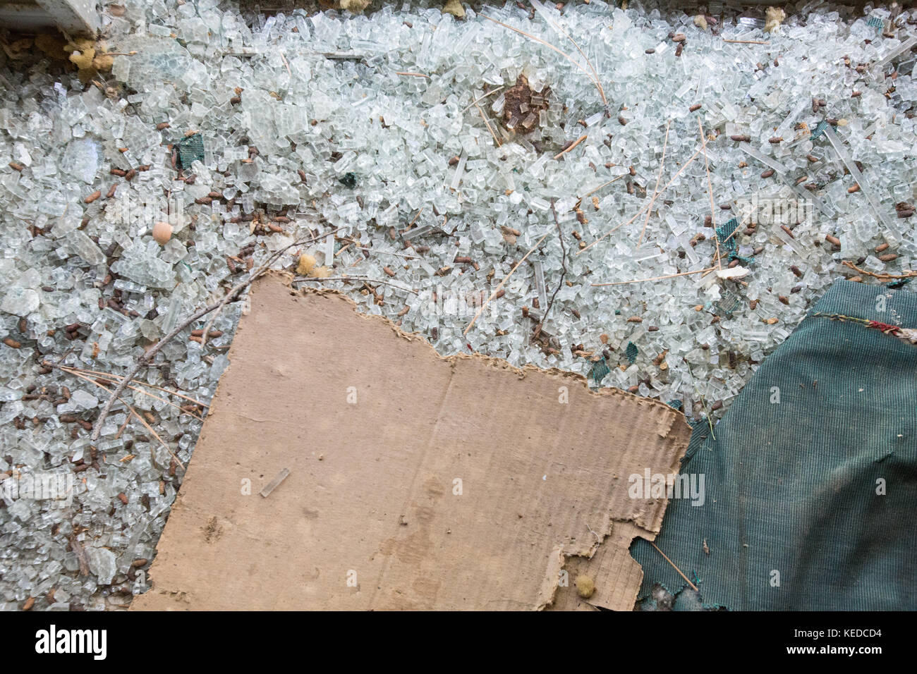 Shards of Broken Glass Stock Photo - Alamy