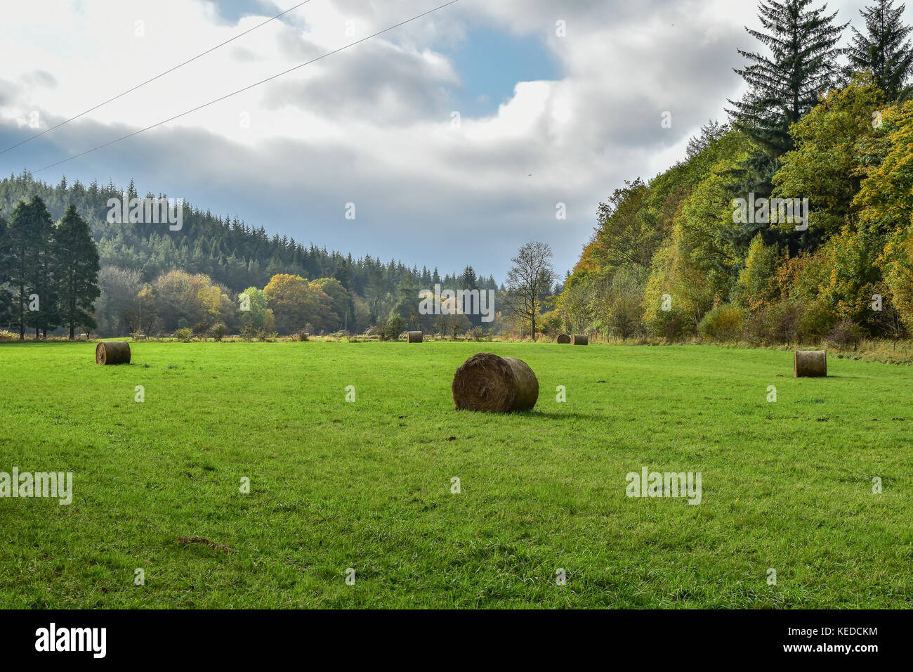 British Countryside autumn fall scenery with hay bales, trees and ...