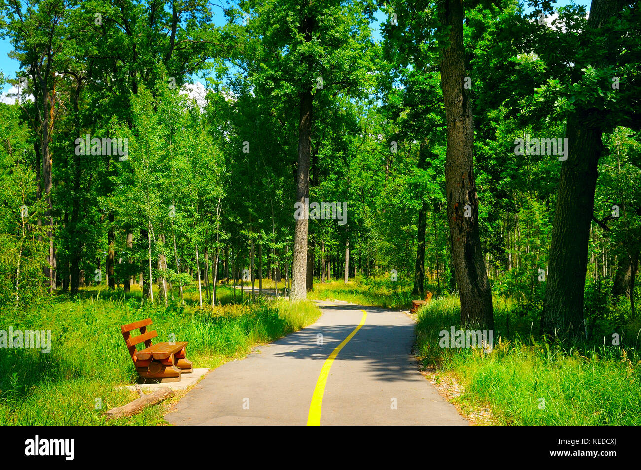 summer park with beautiful walking paths Stock Photo - Alamy