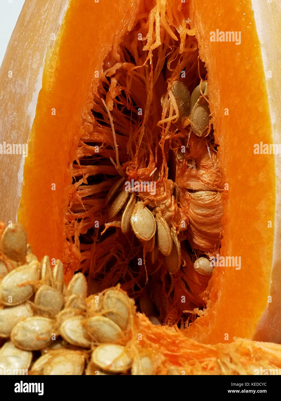 ripe pumpkins cut with seeds Stock Photo - Alamy