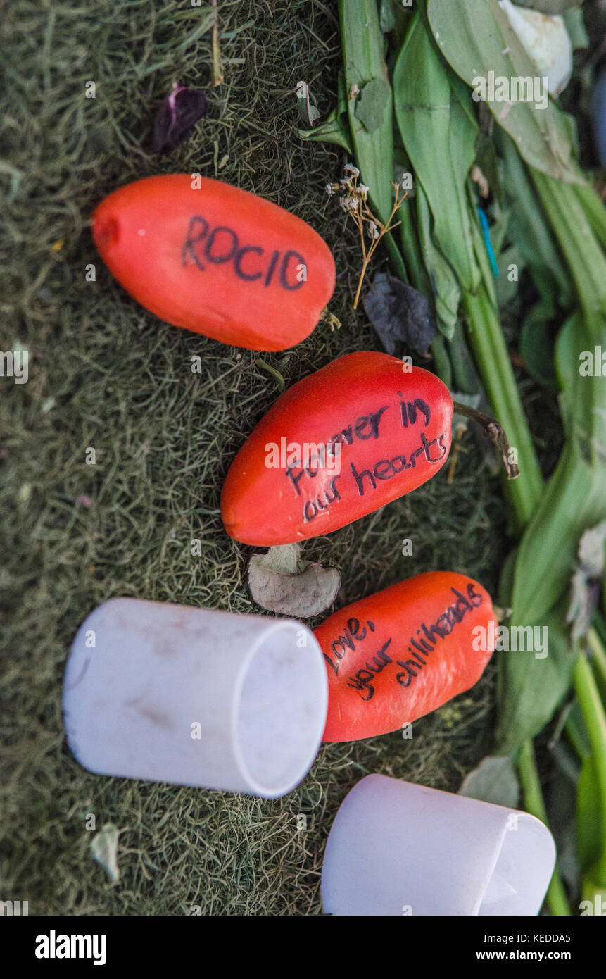 Visitors set up memorials to those lost in the Route 91 Shooting at the ...