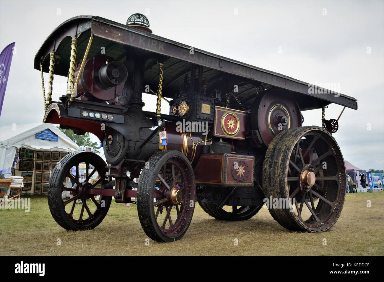 Golden gallopers hi-res stock photography and images - Alamy