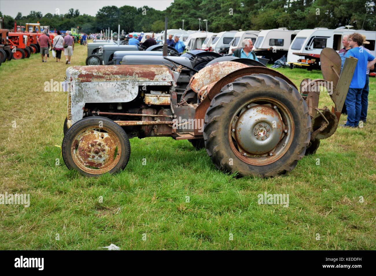 Grey fergie tractor hi-res stock photography and images - Alamy