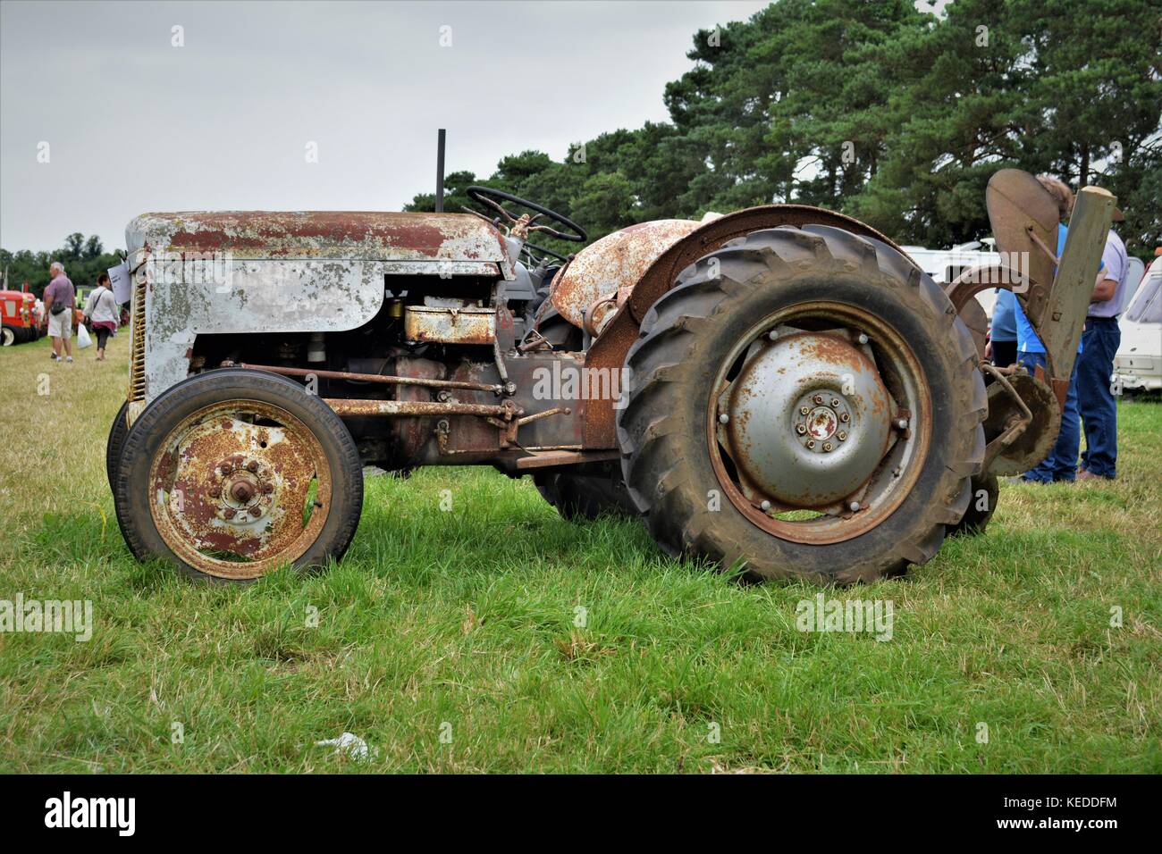 Grey fergie hi-res stock photography and images - Alamy