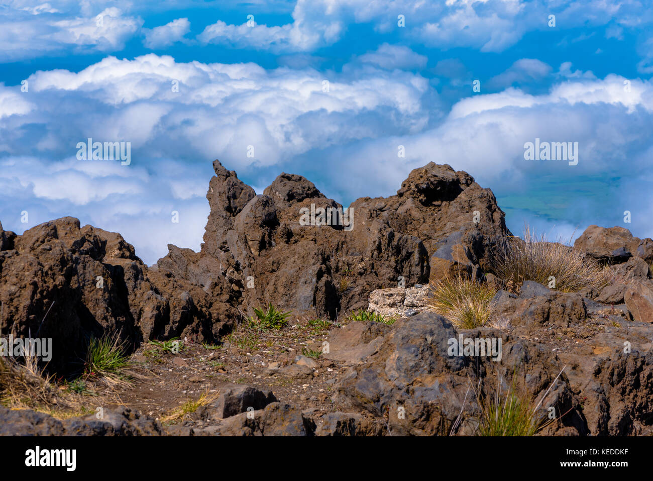 High up on the Haleakala mountain looking down at the clouds Stock ...