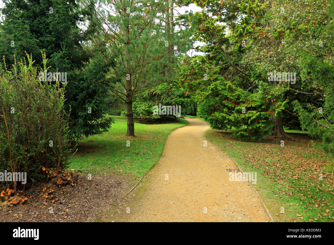 A footpath through the countryside Stock Photo - Alamy