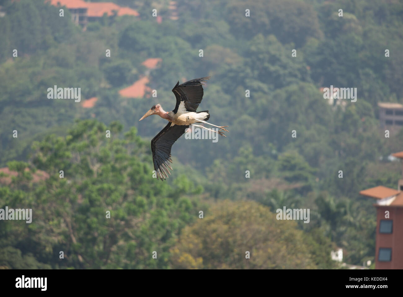 Uganda city hi-res stock photography and images - Alamy
