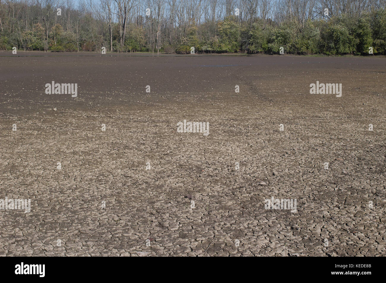 Dried up dirt from a drained wetland area Stock Photo - Alamy