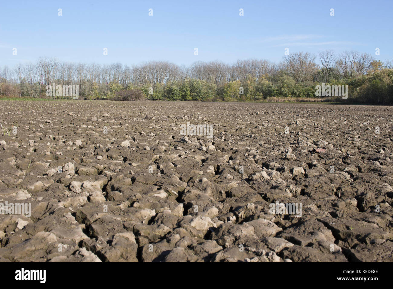 Dried up dirt from a drained wetland area Stock Photo - Alamy