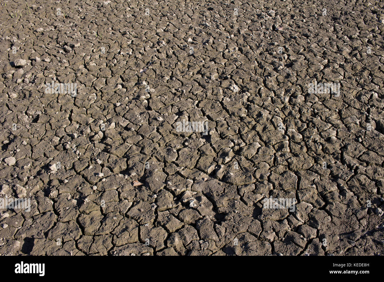Dried up dirt from a drained wetland area Stock Photo - Alamy