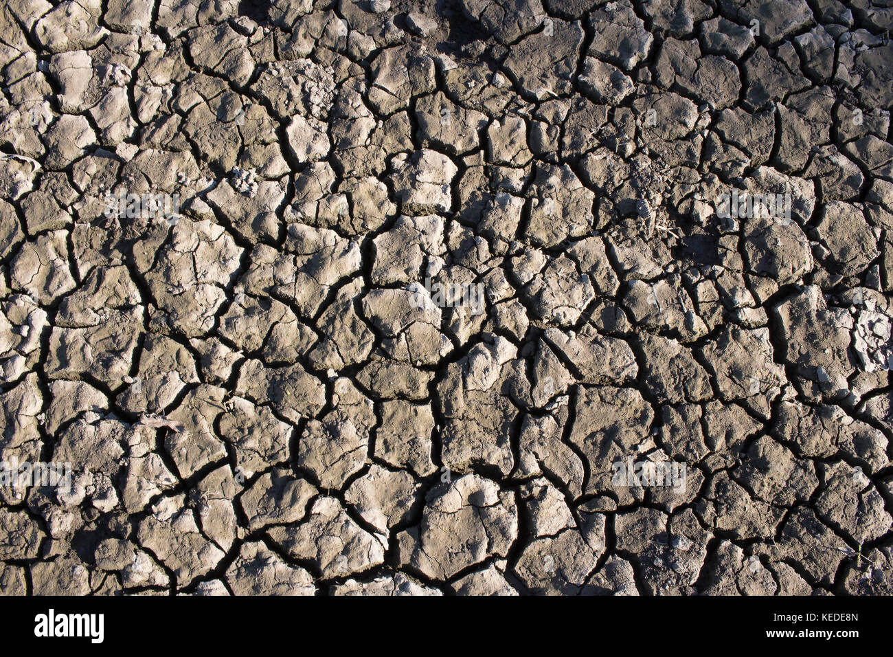 Dried up dirt from a drained wetland area Stock Photo - Alamy