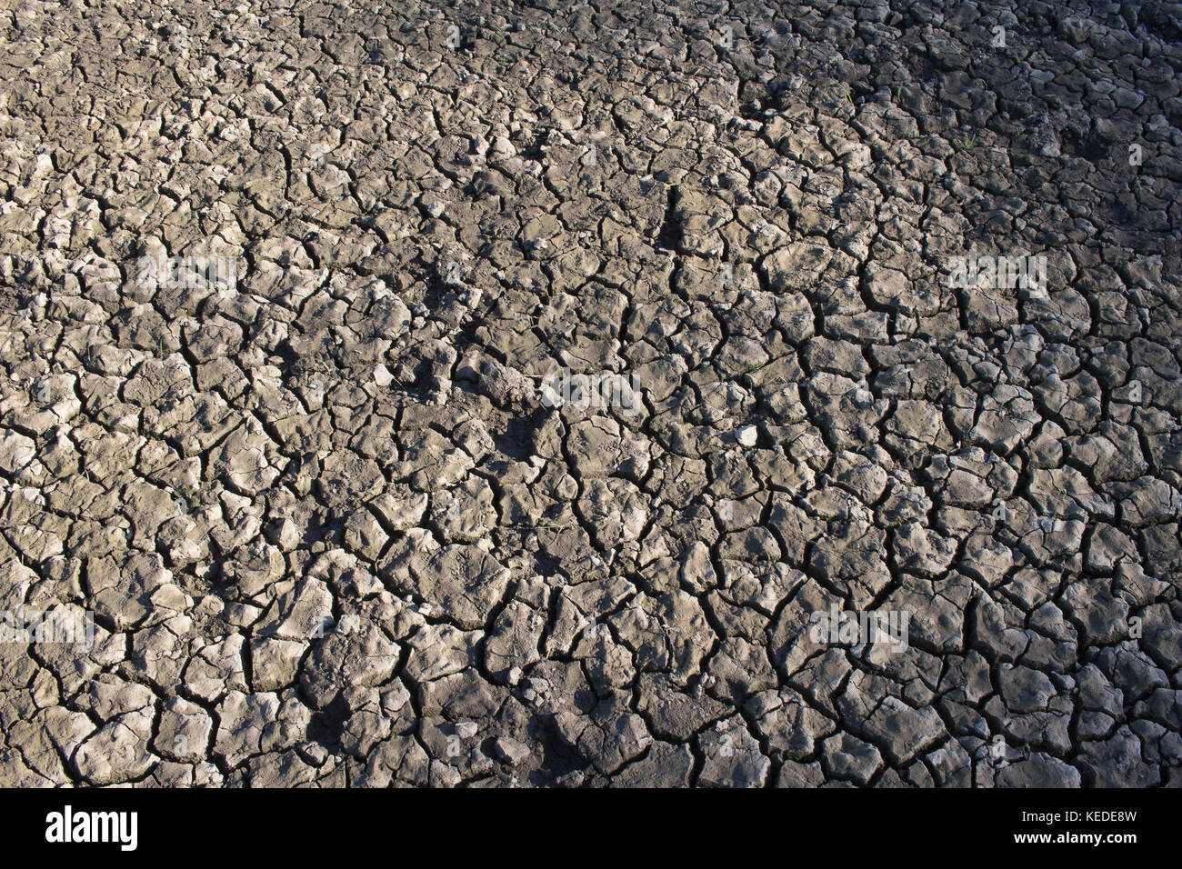 Dried up dirt from a drained wetland area Stock Photo - Alamy